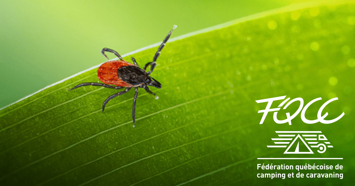 La conciliation tiques et camping